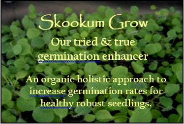 Skookum Grow: a holistic organic germination enhancer - Twining Vine Garden