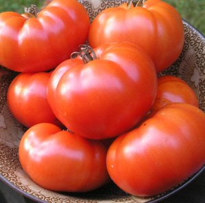 Tomato "Pantano Romanesco" seeds - Twining Vine Garden