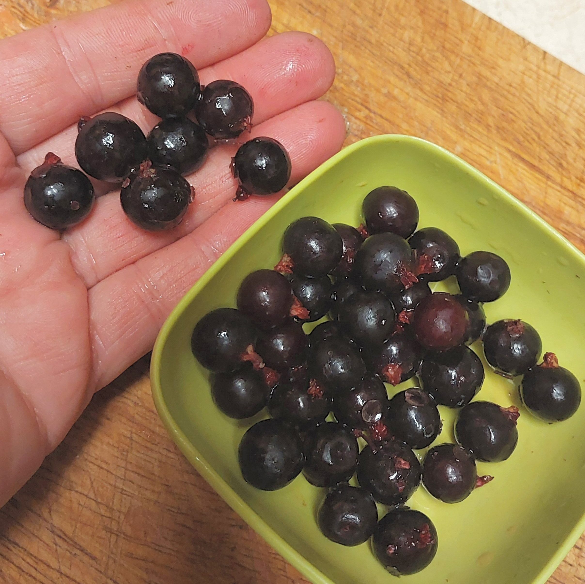 Ribes nigrum seed (Black Currant improved) - Twining Vine Garden